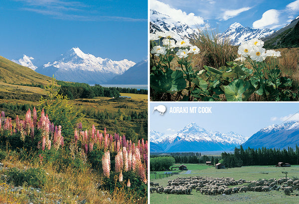 Mt Cook Multi - Small Postcard – Postcards NZ Ltd
